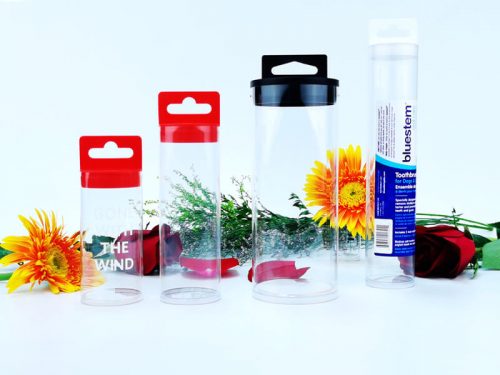 Custom Clear Plastic Box Packaging Manufacturers and Suppliers