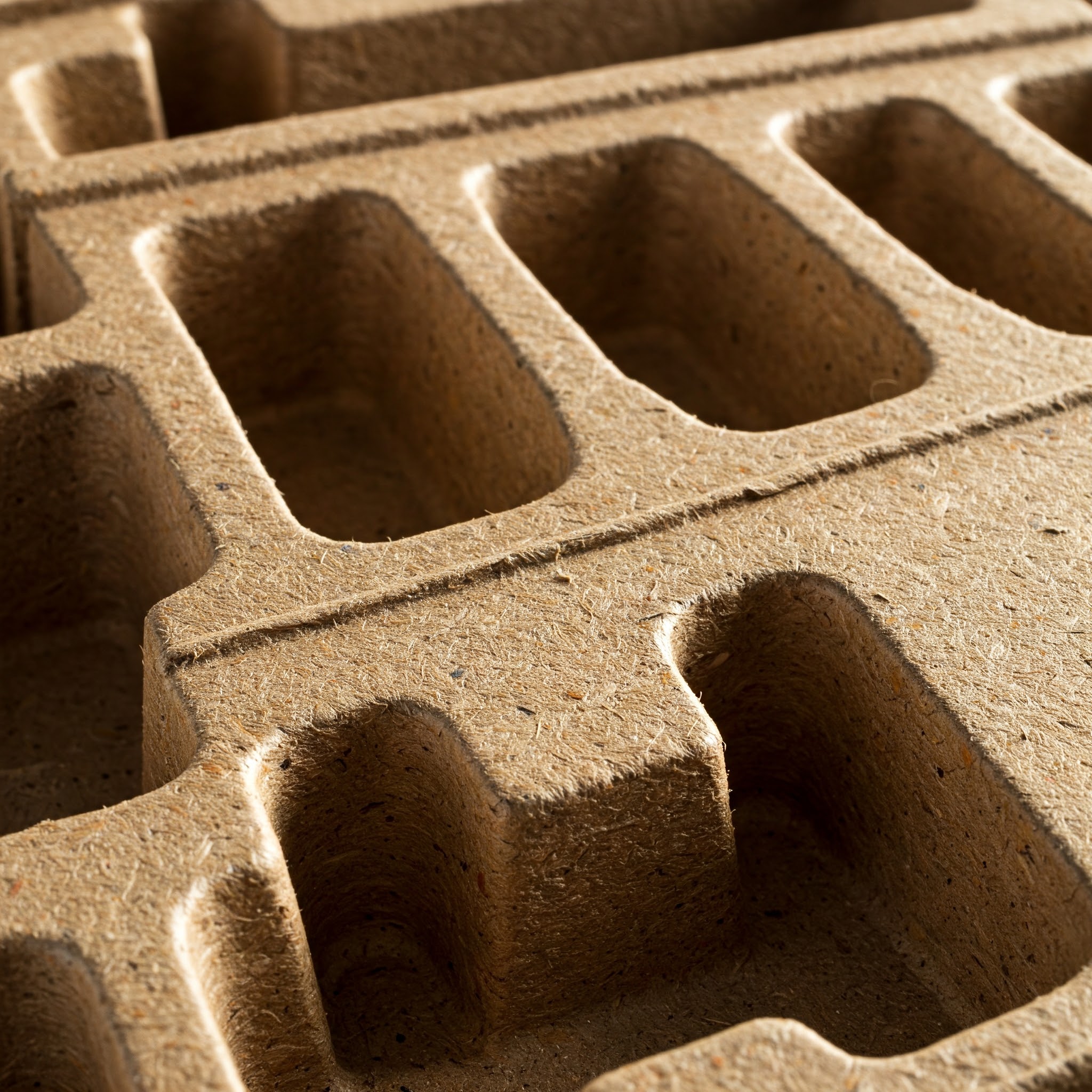 Custom Box Inserts: Types, Customization and Applications - Agreen ...